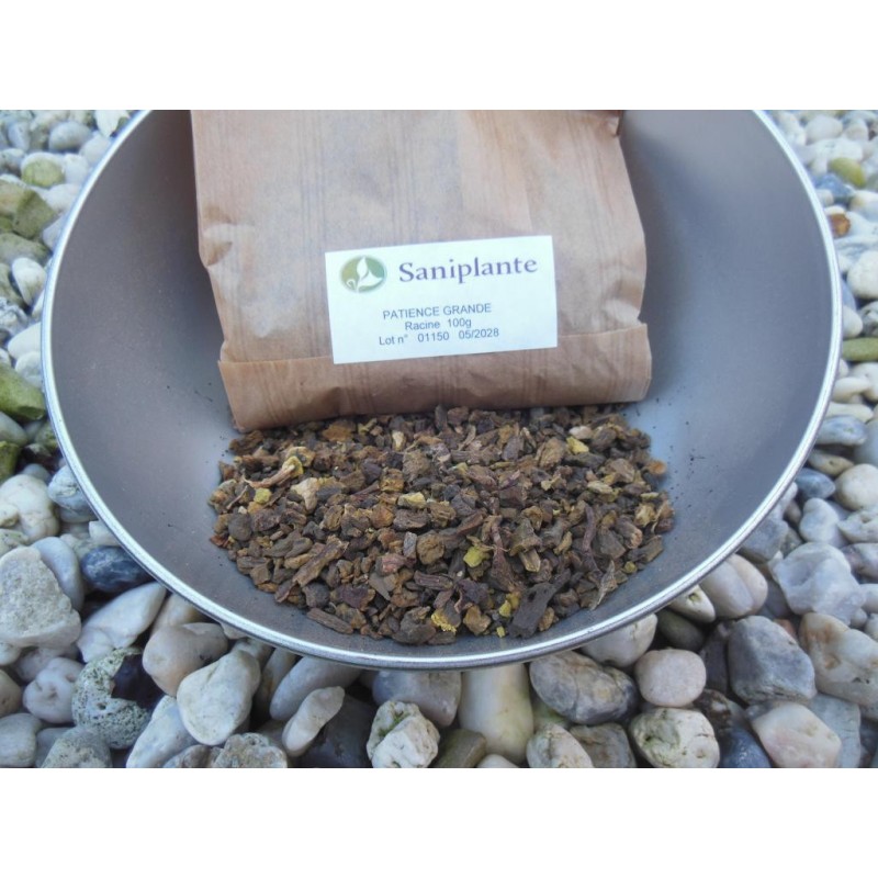 Patience Grande racine en vrac- sachet de 100gr